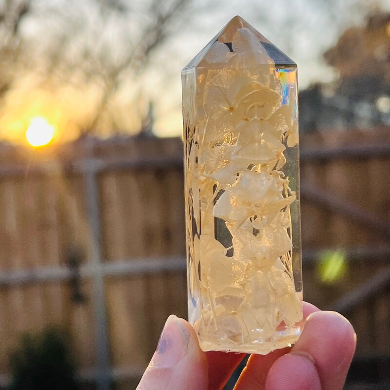 Botanic Paper Weight - Etsy