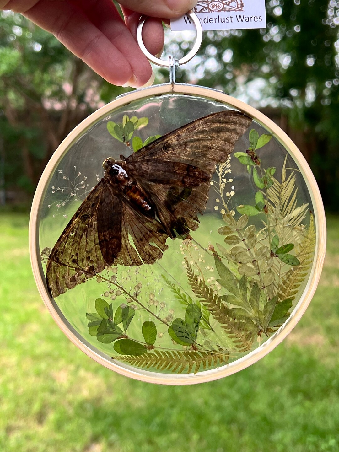 Butterfly Moth and Florals in Resin Pressed Flower Home Decor Butterfly ...