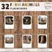 32 Farm Animals Flashcards | Montessori 3-part Cards | Real Pictures ...