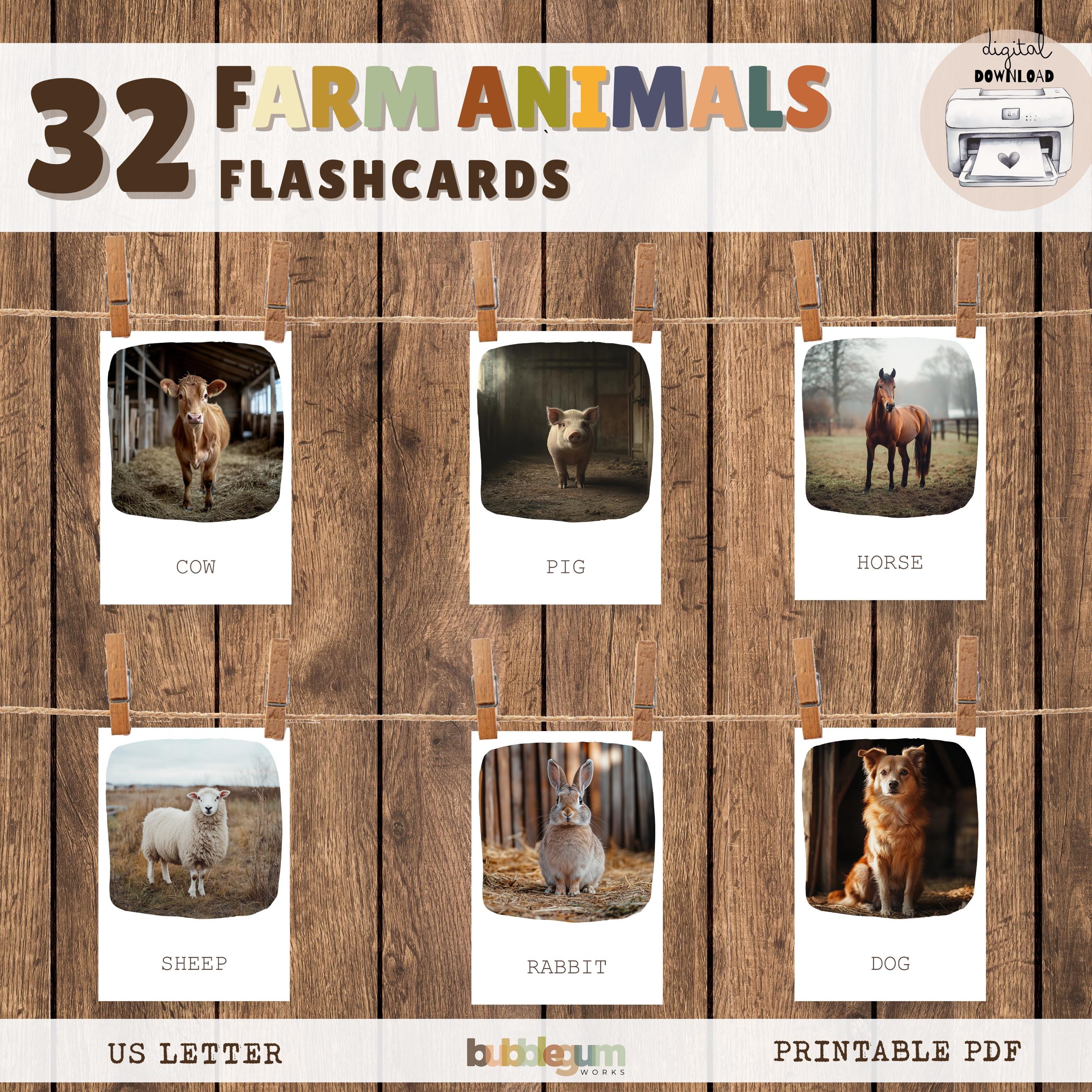 32 Farm Animals Flashcards | Montessori 3-part Cards | Real Pictures ...
