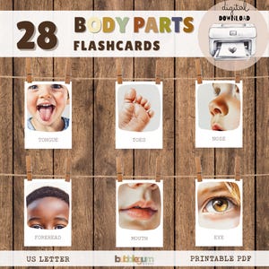 Printable Body Parts Flashcards for Kids – Montessori-inspired Learning ...