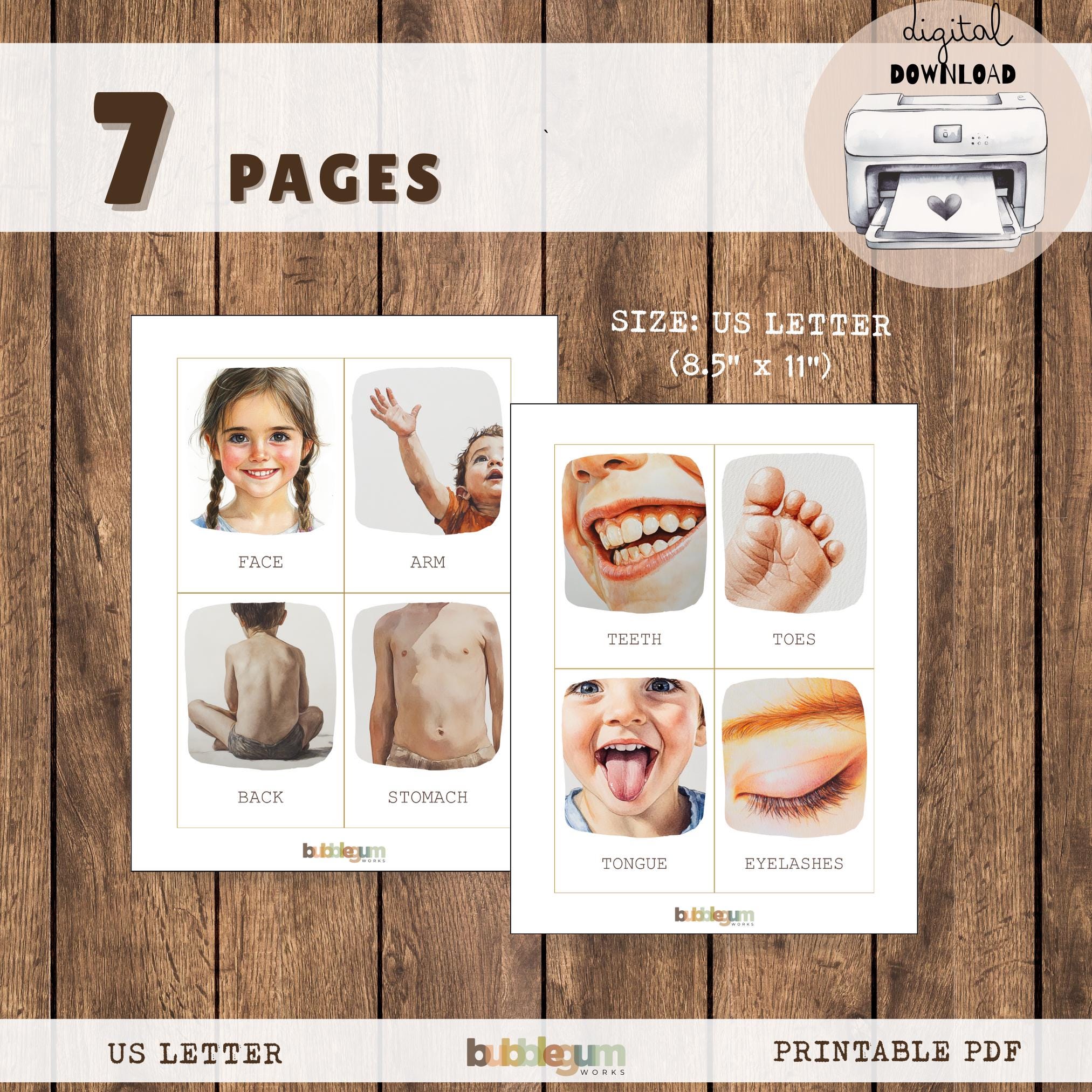 Printable Body Parts Flashcards for Kids – Montessori-inspired Learning ...