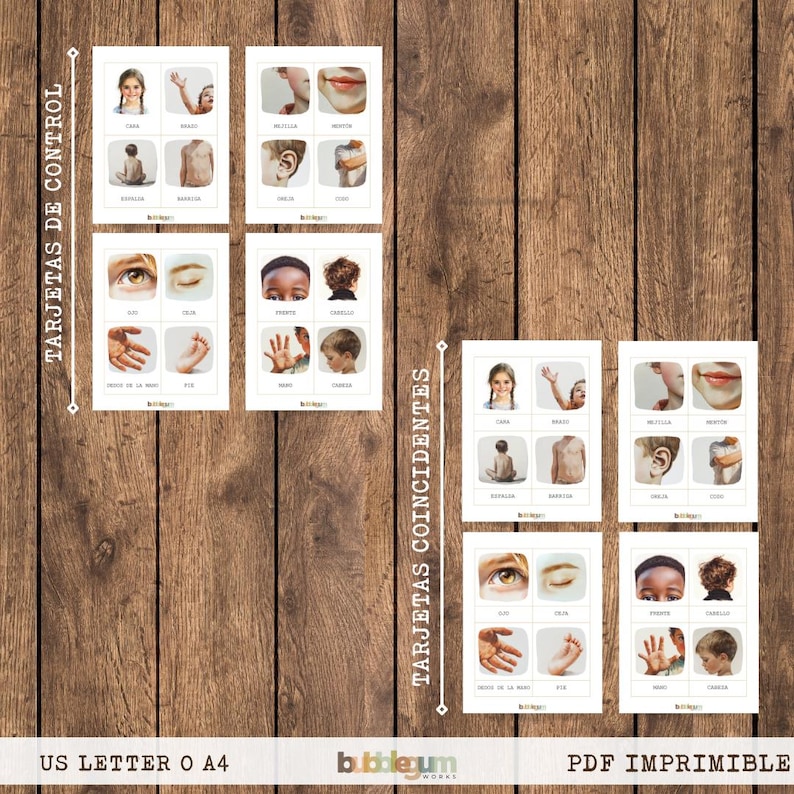 28 Printable Spanish Body Parts Flashcards – Montessori 3-part Cards ...