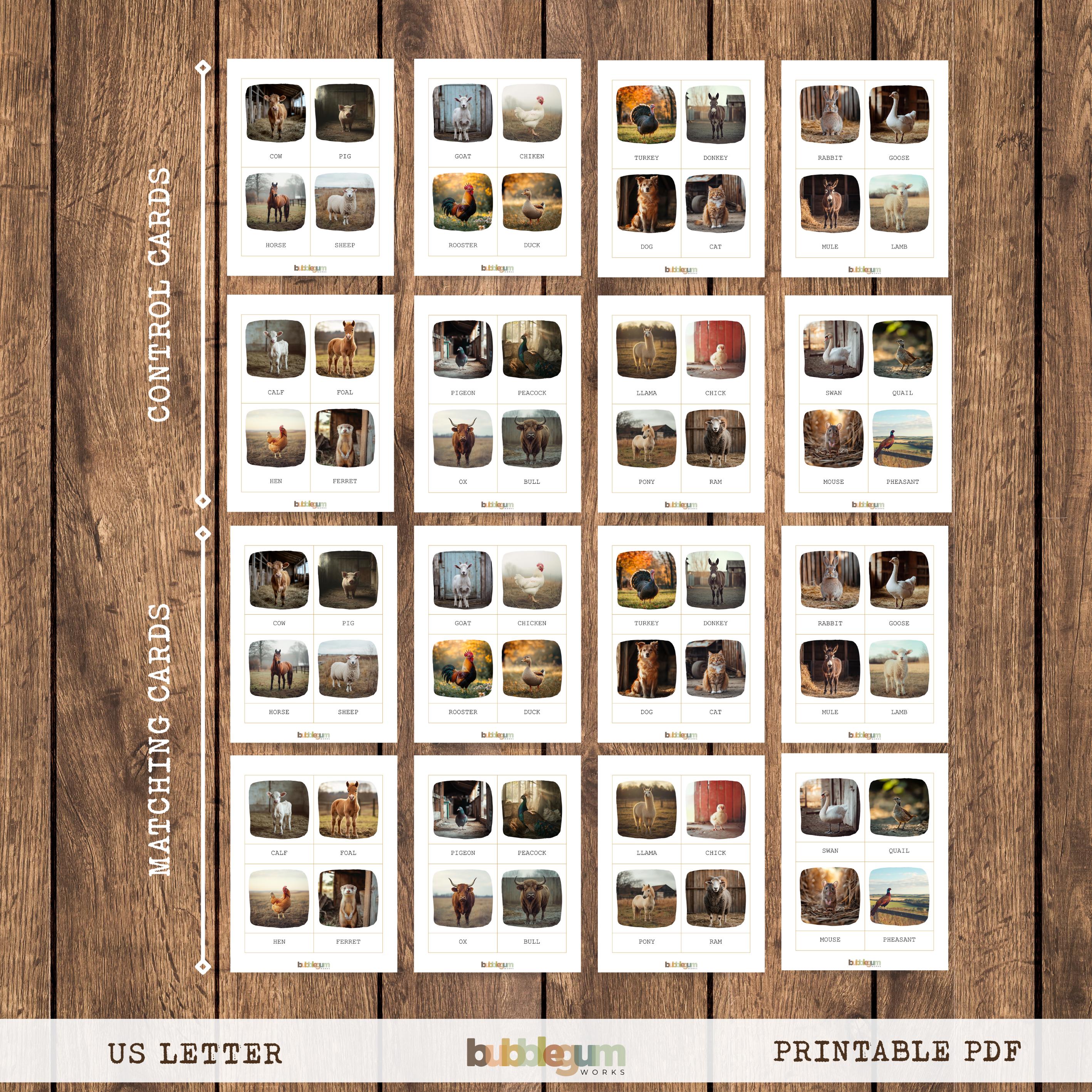 32 Farm Animals Flashcards | Montessori 3-part Cards | Real Pictures ...
