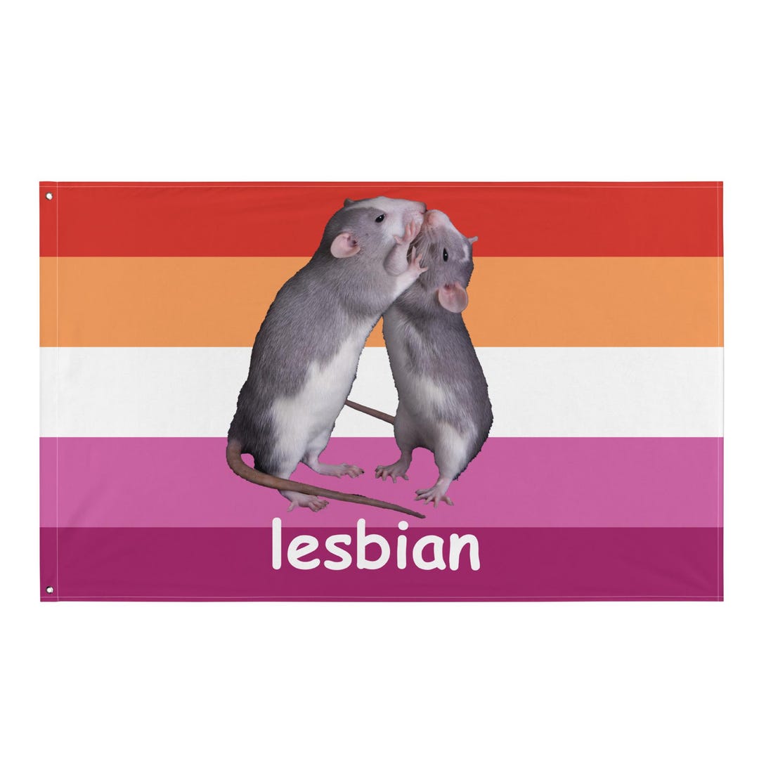 Lesbian Rat Flag | Funny Meme Flag for Festival, Dorm Room, Decor, Gift ...