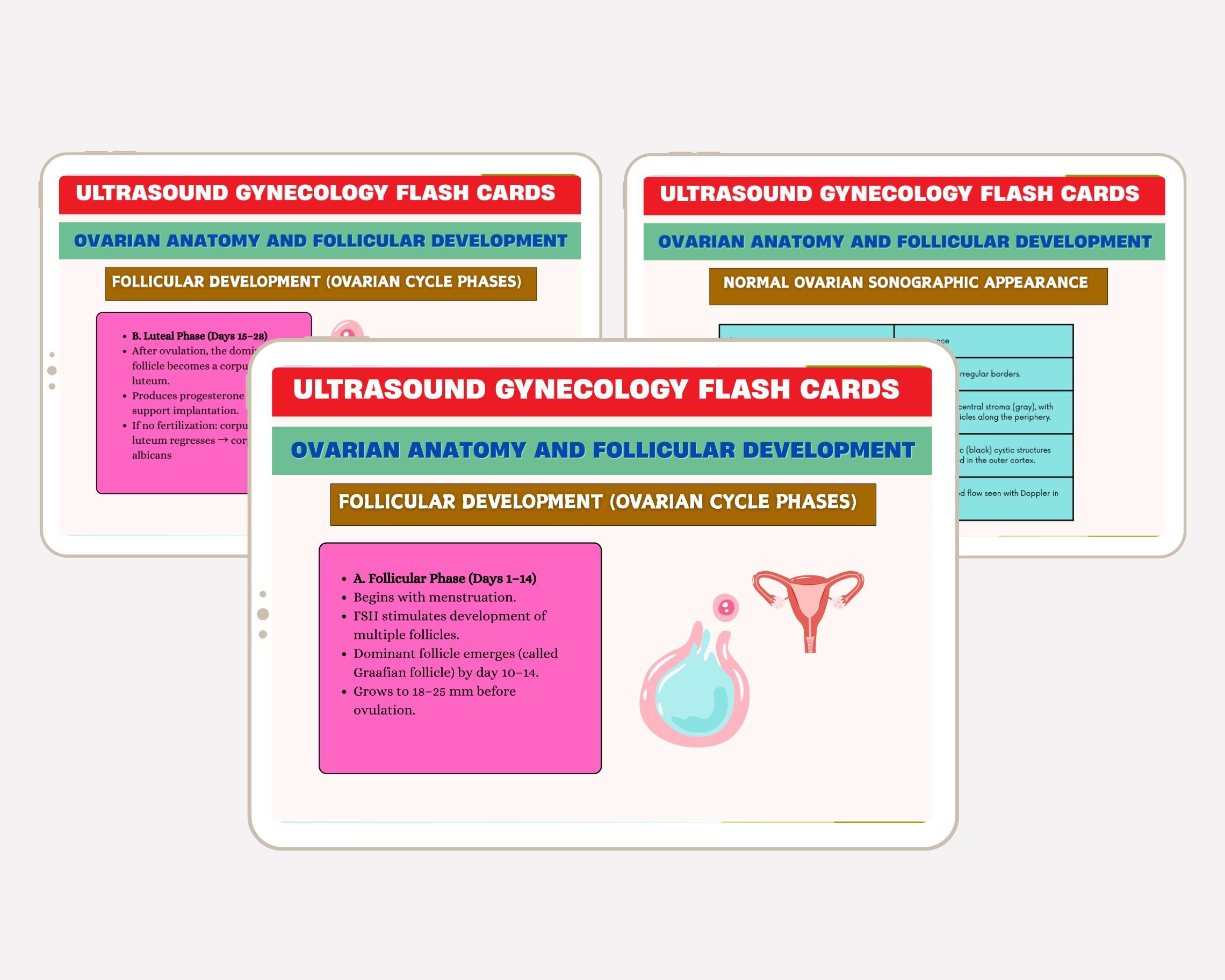 Ultrasound Gynecology Flash Cards: Sonographer Study Guide (PDF) - Etsy