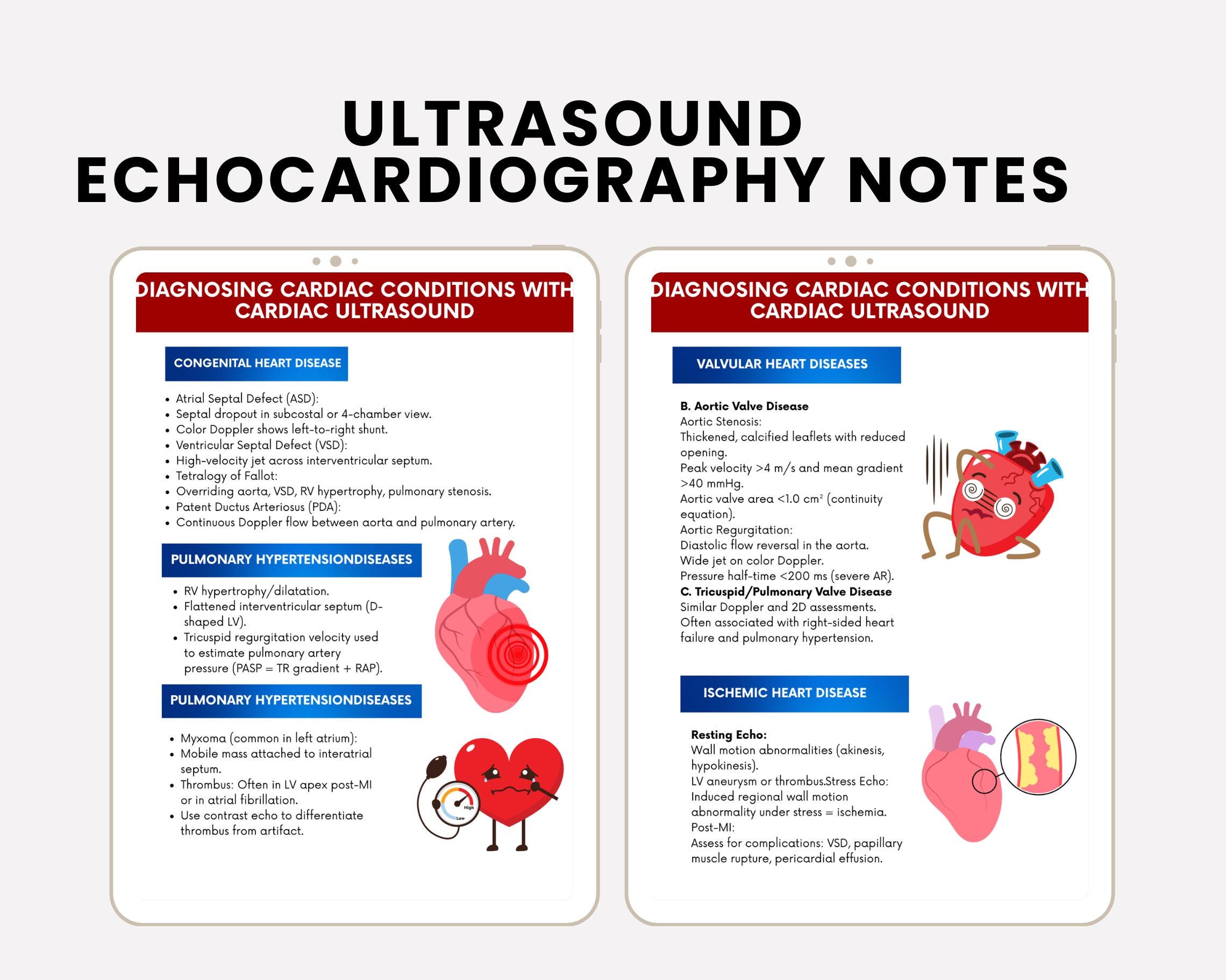 Echocardiography Study Guide: Cardiac Sonography Notes (digital ...