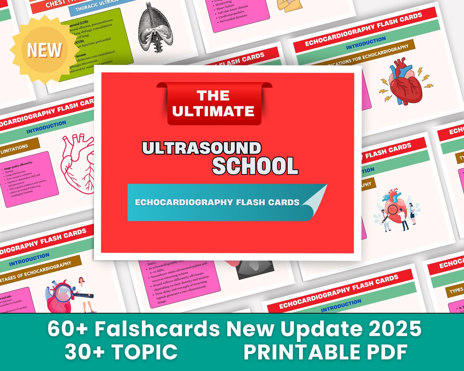 Echocardiography Flashcards | Cardiac Sonography Study Guide ...