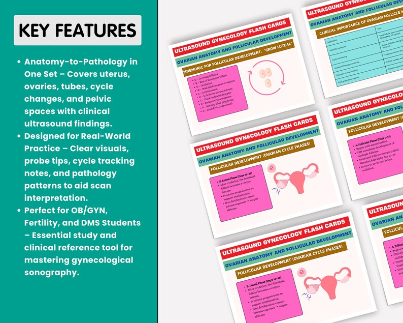 Ultrasound Gynecology Flash Cards: Sonographer Study Guide (PDF) - Etsy