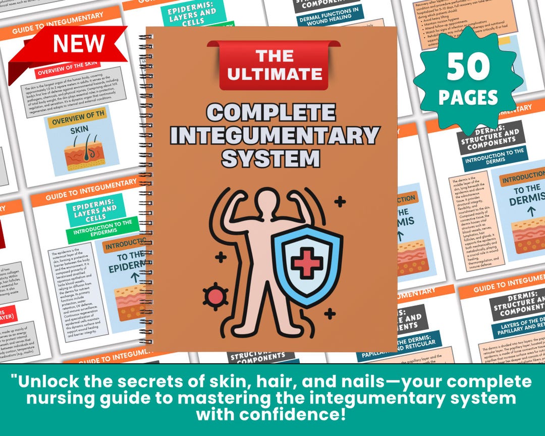 Integumentary System Nursing Notes: Anatomy & Physiology Study Guide ...
