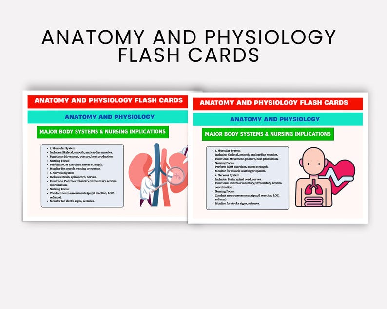 Anatomy & Physiology Flashcards Bundle: Nursing School Study Guide (PDF ...