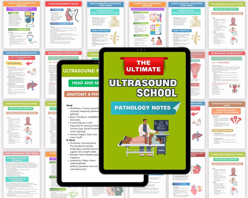 Hyperlinked Ultrasound School Study Guide Bundle: Abdomen, Physics, SPI ...
