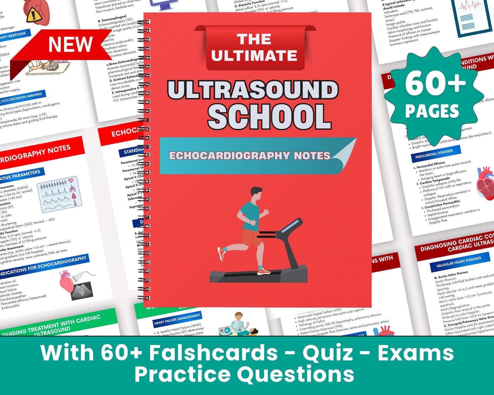 Echocardiography Study Guide: Cardiac Sonography Notes (digital ...