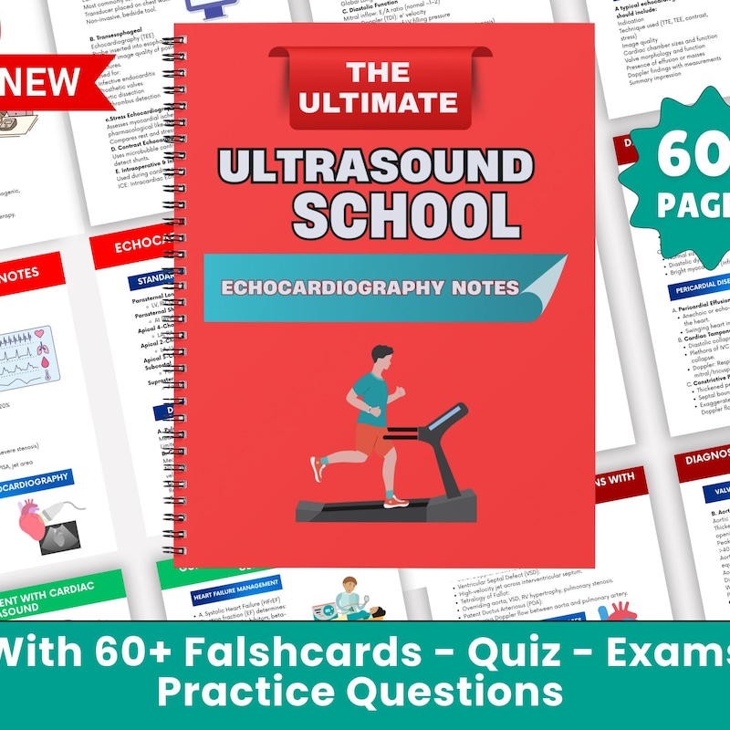 Cat Echocardiogram Cost Nz - Etsy New Zealand