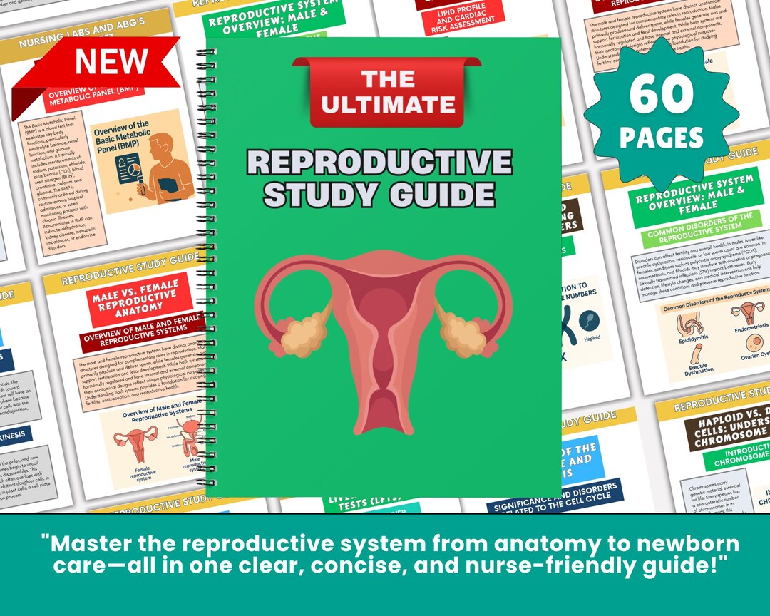 Reproductive System Nursing Notes: Med-surg Guide (printable & Digital ...