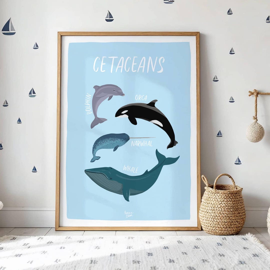 Educational Cetacean Art Print: Dolphin, Orca, Narwhal and Whale Poster ...