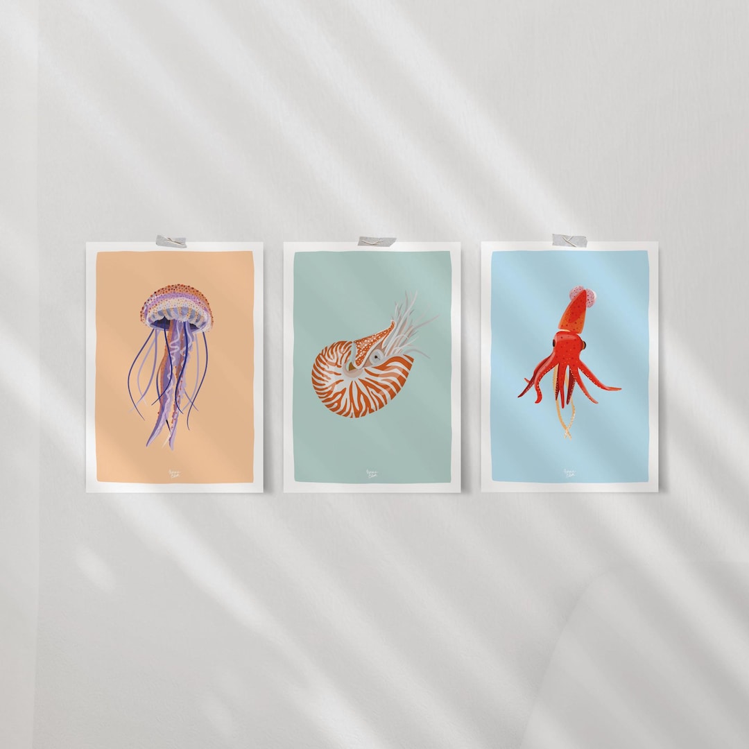 Set of 3 Modern Nautical Posters: Jellyfish, Nautilus and Squid, Cute ...