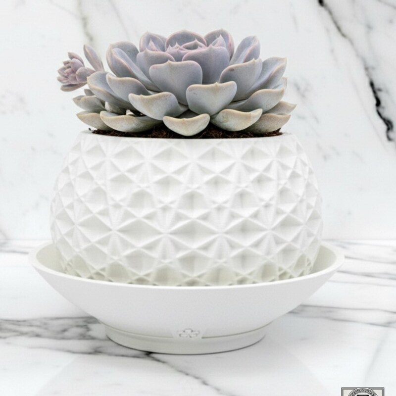 Museum Planter - Etsy