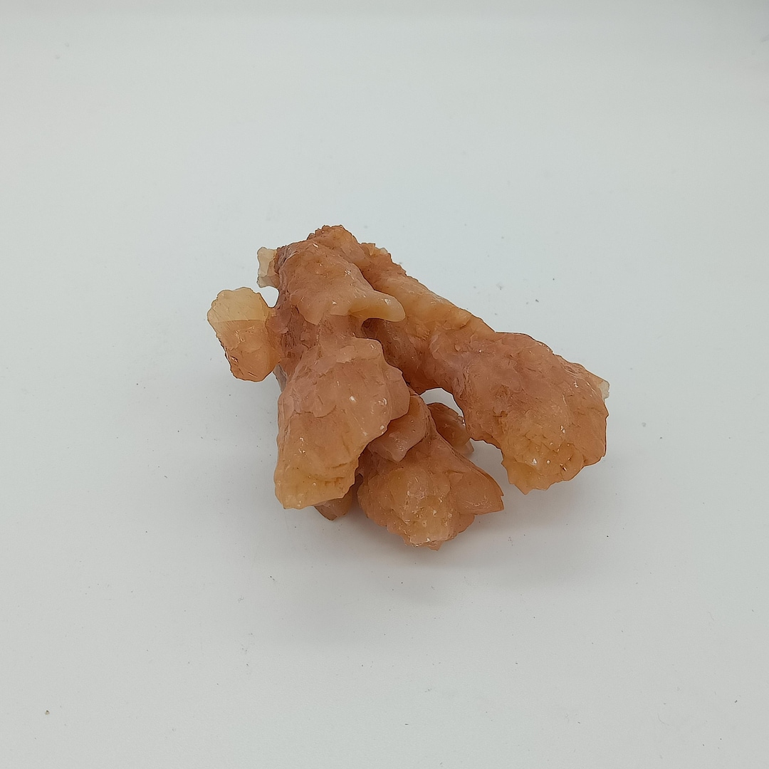 Calcite Coral Rock Specimen – Moroccan Raw Crystal, Atlas Mountain ...