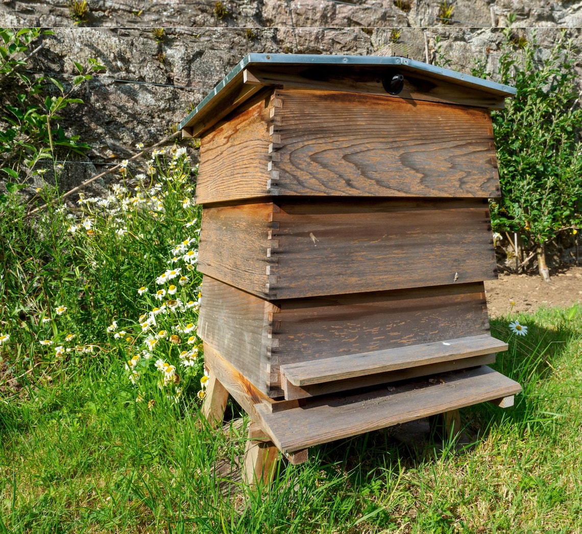 DIY Honey Beehive Plan: Langstroth & Flow Hive Compatible (PDF Guide ...