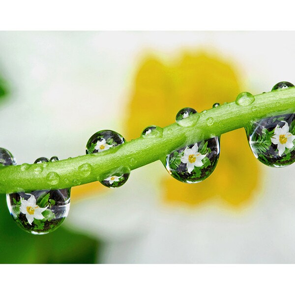 Raindrop Print - Etsy