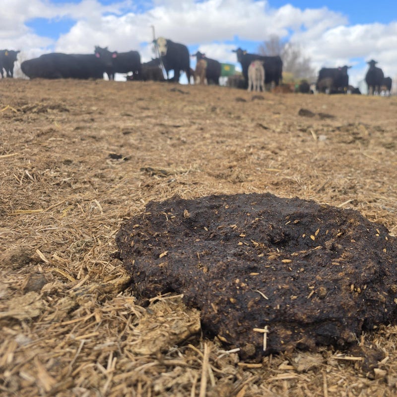 Cow Poop Organic - Etsy