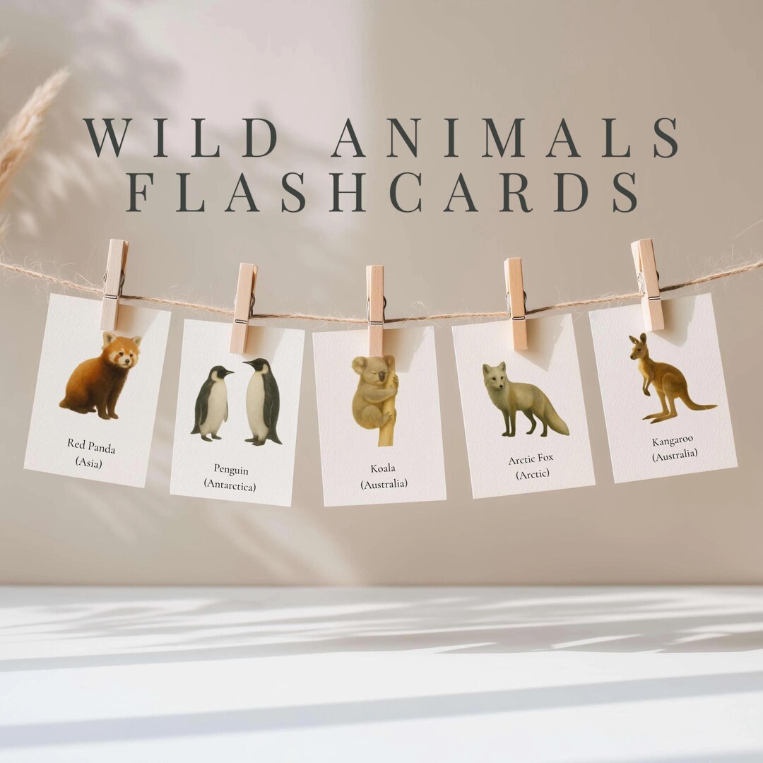 Wild Animal Flashcards Printable – Montessori Nature Cards for Kids ...