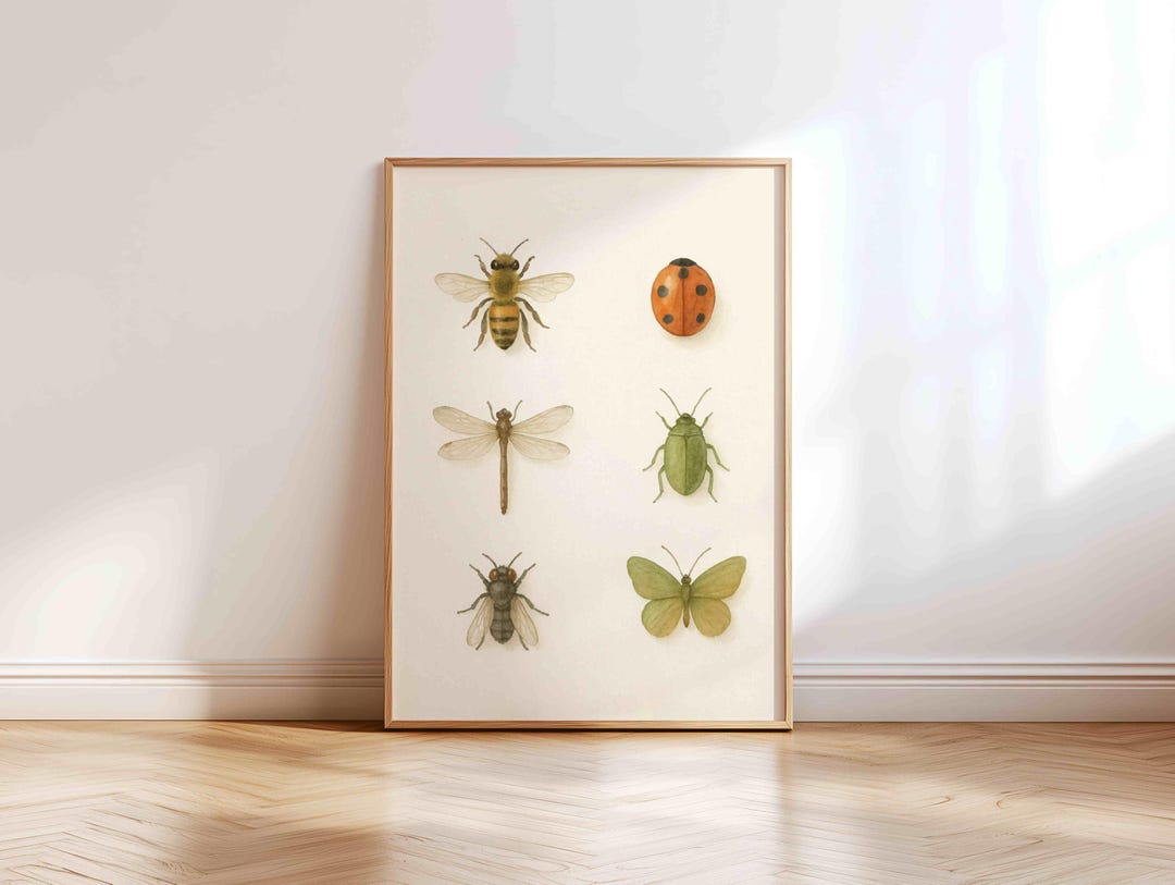 Insect Poster for Kids – Montessori Bug Chart, Printable Science Wall ...