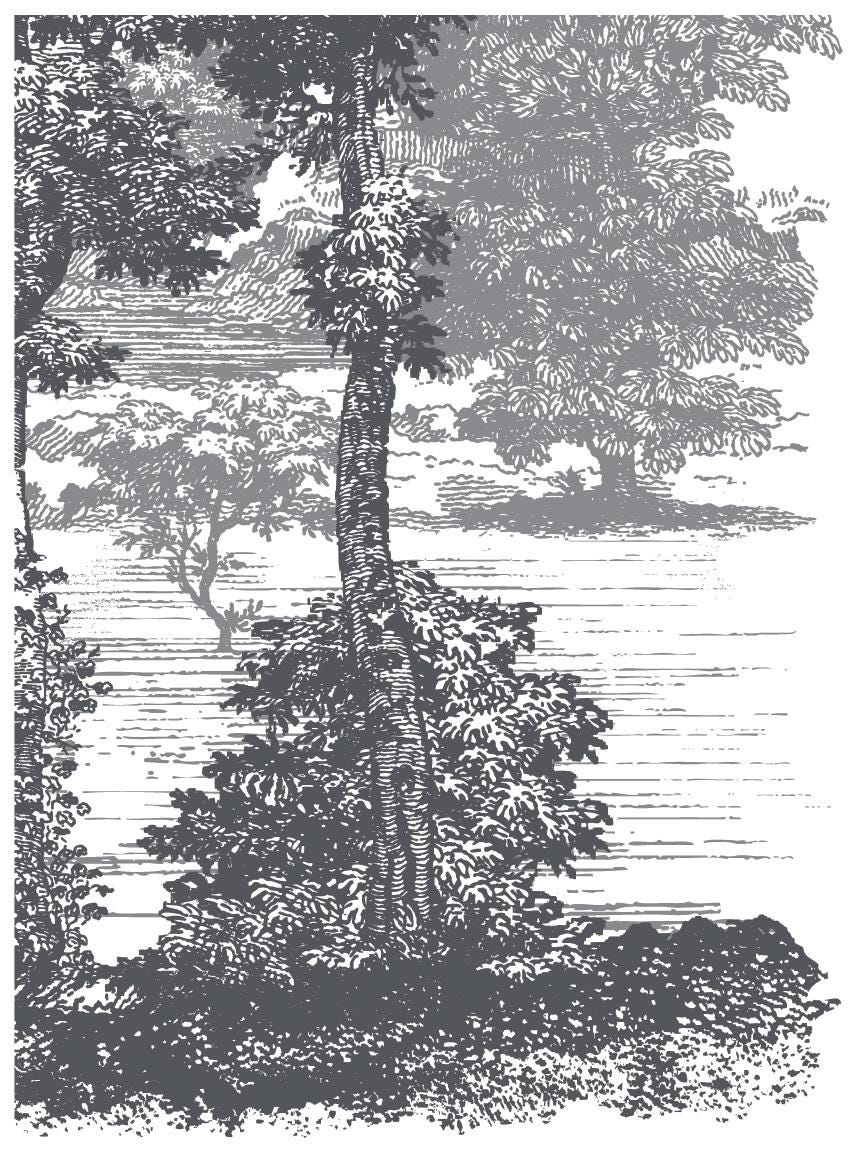 IOD Summer Villa Paint Inlay, Iod Paint Transfer, Iron Orchid Designs ...