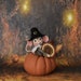 Thanksgiving Pilgrim Mouse and Turkey Centerpiece, Needle Felted ...