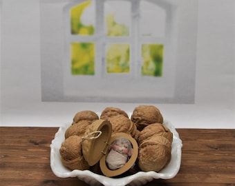 Walnut Shell Ring Box - Etsy