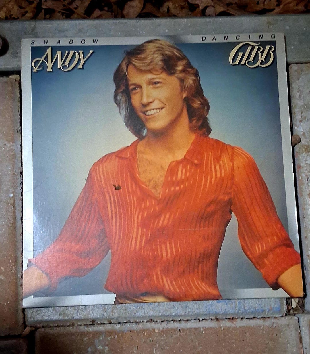 Andy Gibb Albums (set of 2) - Etsy