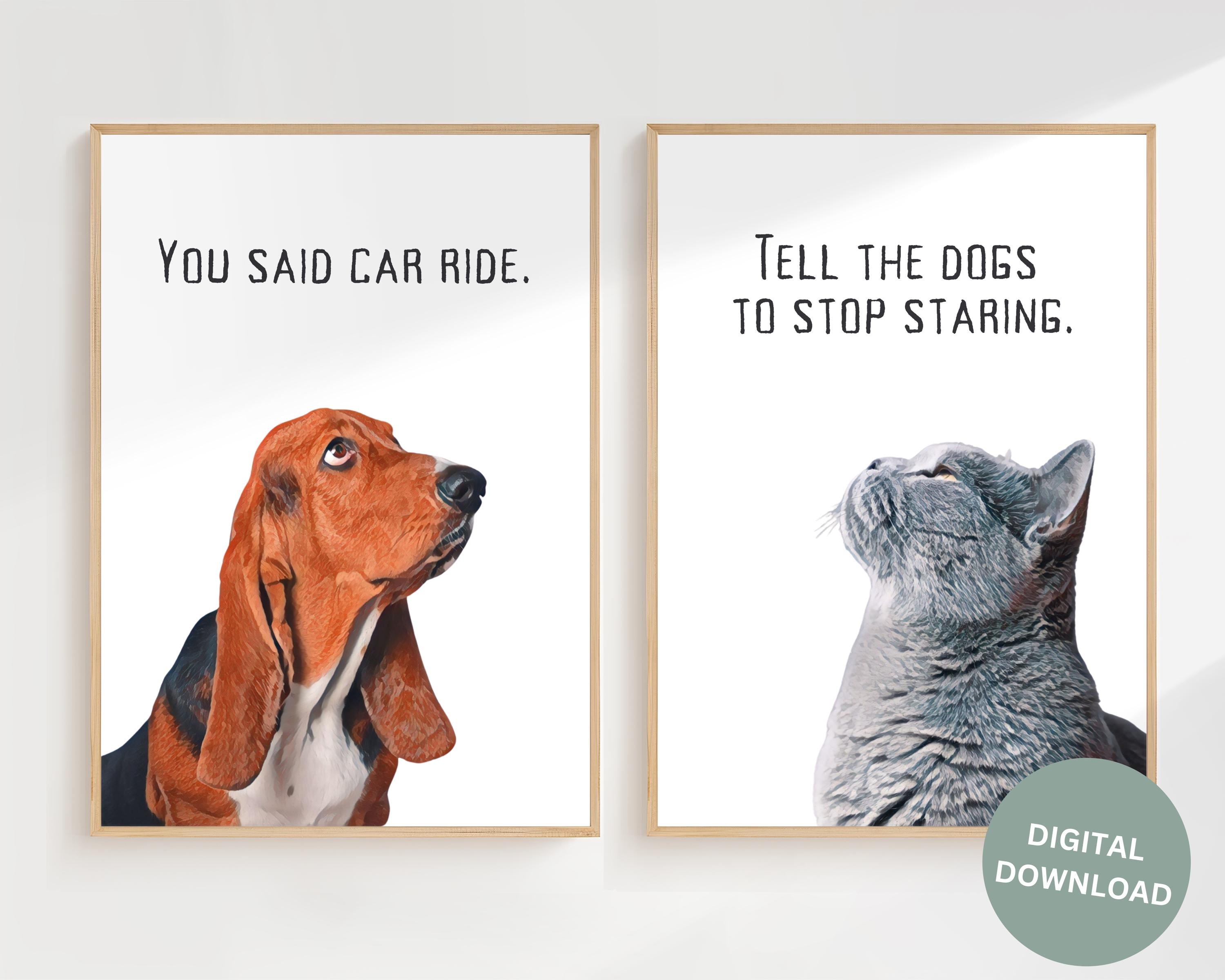 Vet Office Wall Art, Veterinary Clinic Decor, Animal Hospital Posters ...