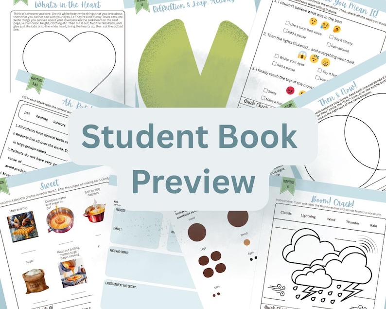 K-3rd Grade Homeschool 12-lesson Unit Study | "because of Winn-dixie ...