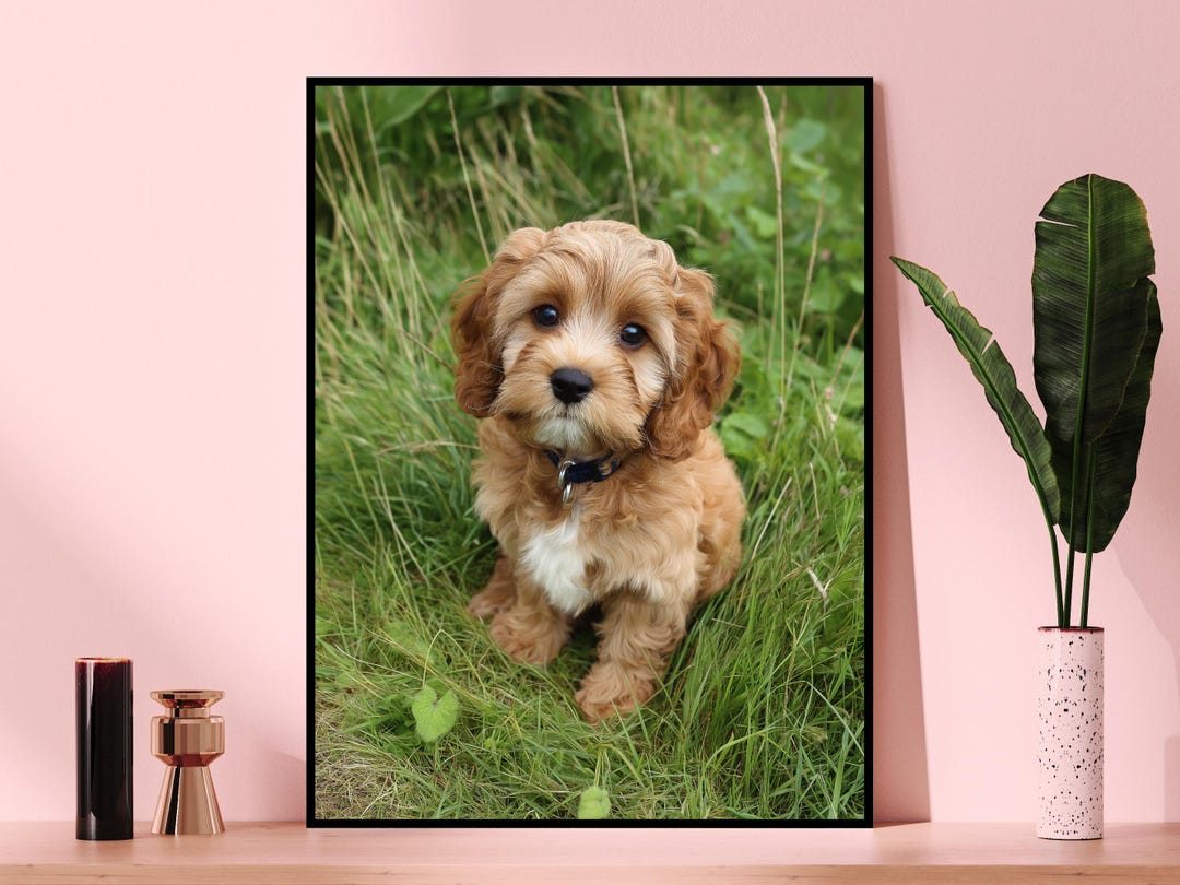 Cute Cockapoo Puppy Photo Puzzle | Dog Jigsaw Puzzle | Family Fun ...