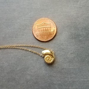 Gold Seashell Necklace, Little Spiral Shell, Nautilus Necklace, Snail ...