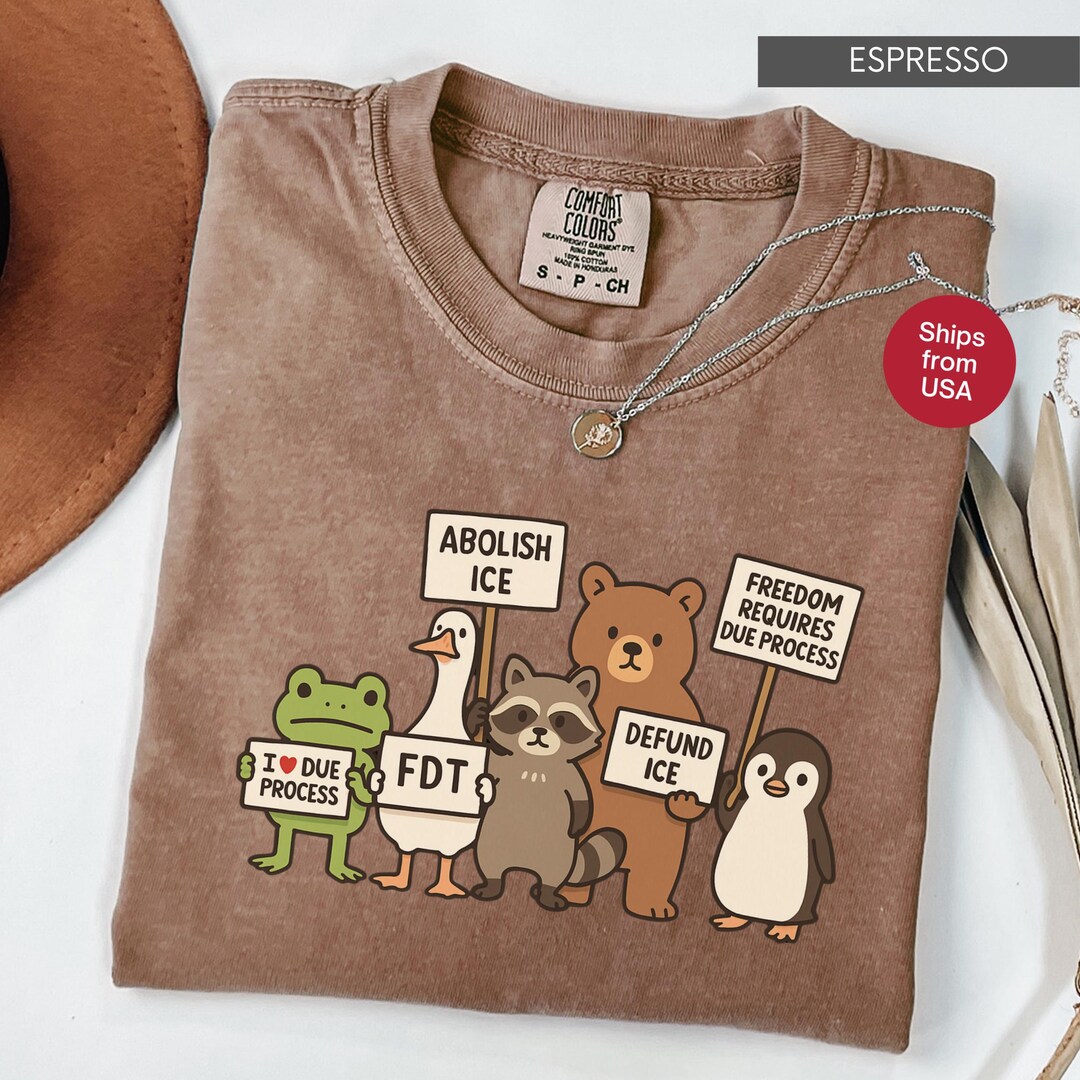 Abolish Ice Goose Comfort Colors Shirt, ICE Out of LA Protest Shirt ...