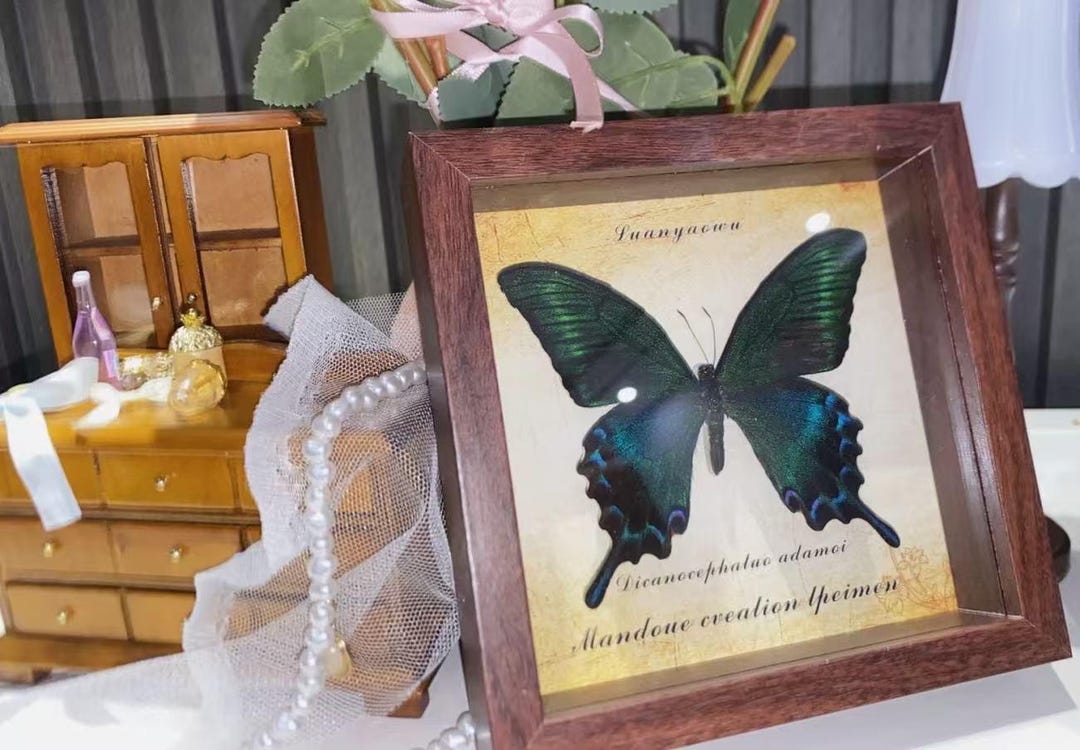 Floral Butterfly Frame – Shabby Chic Picture Frame, Perfect Gift for ...
