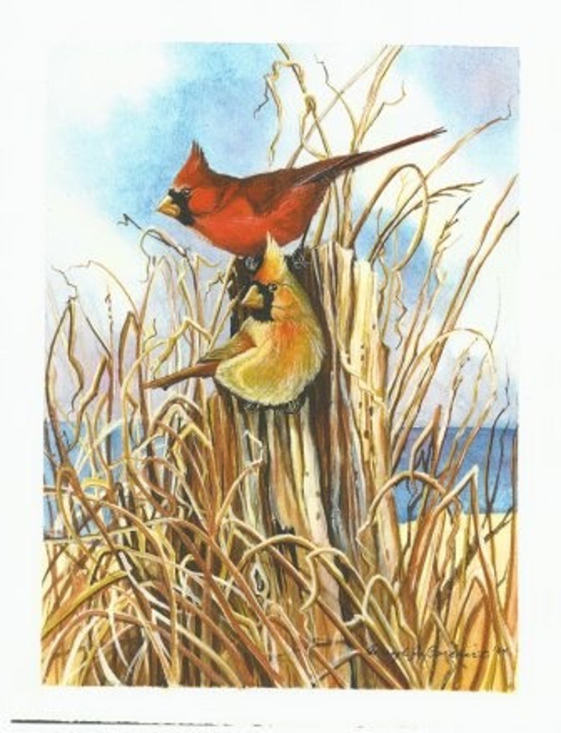 Summertime Cardinals - Etsy