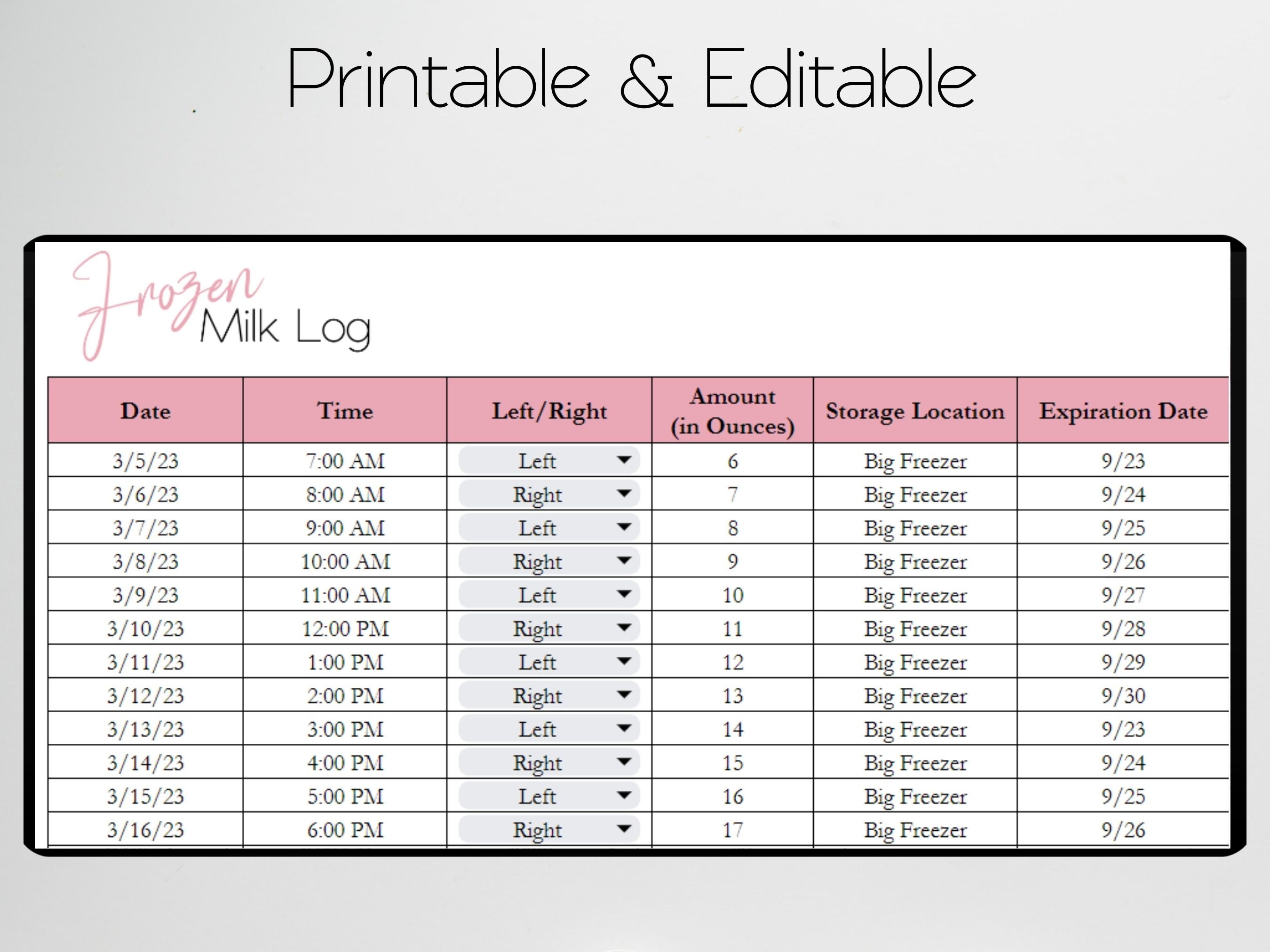 Frozen Milk Log, Breast Pumping Tracker Google Sheets, Breast Milk ...
