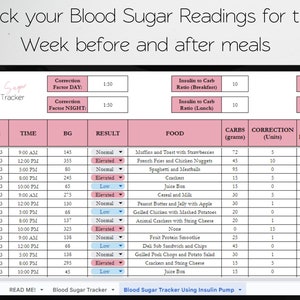 Blood Sugar Tracker Excel Spreadsheet Template, Type 1 Diabetes Tracker ...