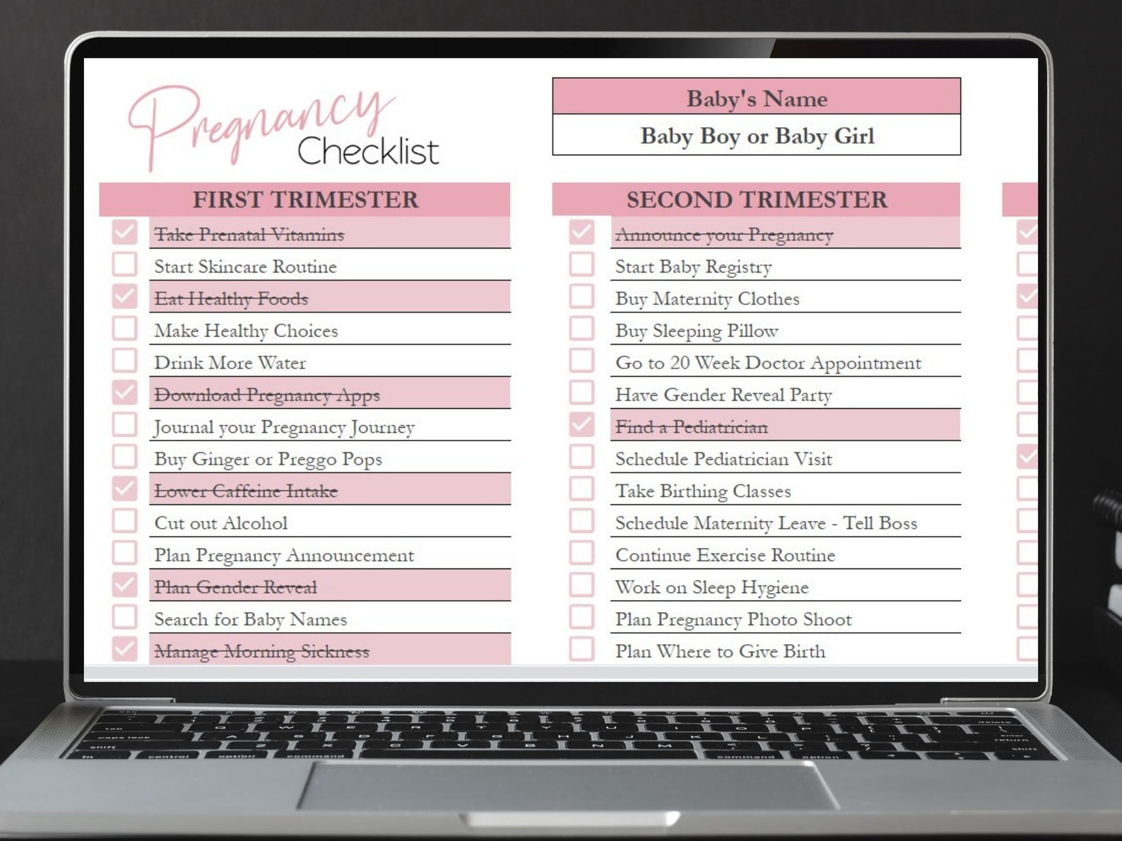 Pregnancy Checklist by Trimester Google Sheets, Pregnancy Planner ...
