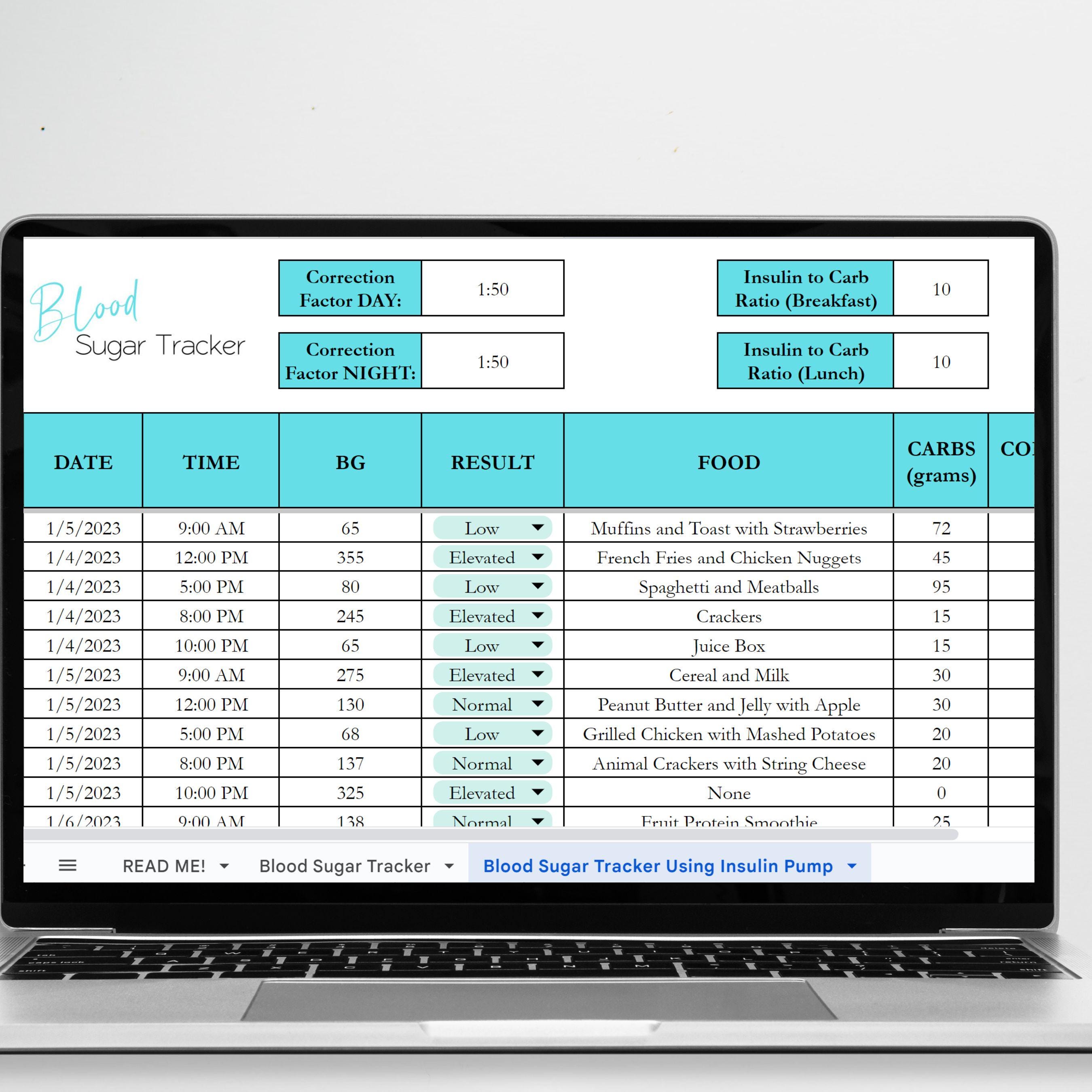 Blood Sugar Log Google Sheets Template, Type 1 Diabetes Log, Excel Type ...