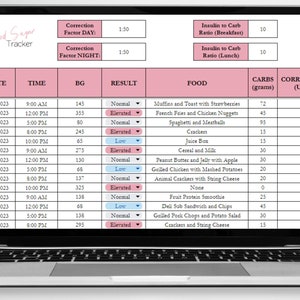Blood Sugar Tracker Excel Spreadsheet Template, Type 1 Diabetes Tracker ...