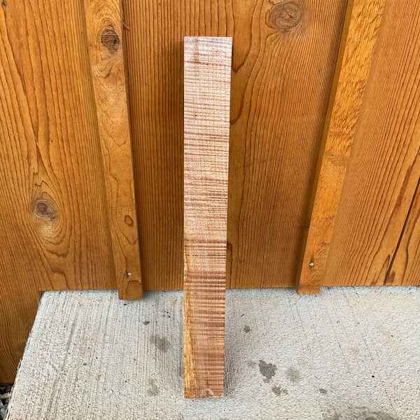 Fiddleback Maple - Etsy