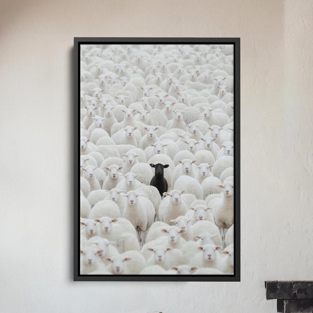 Black and White Sheep Among White Lambs – Unique Contrast Canvas Art ...