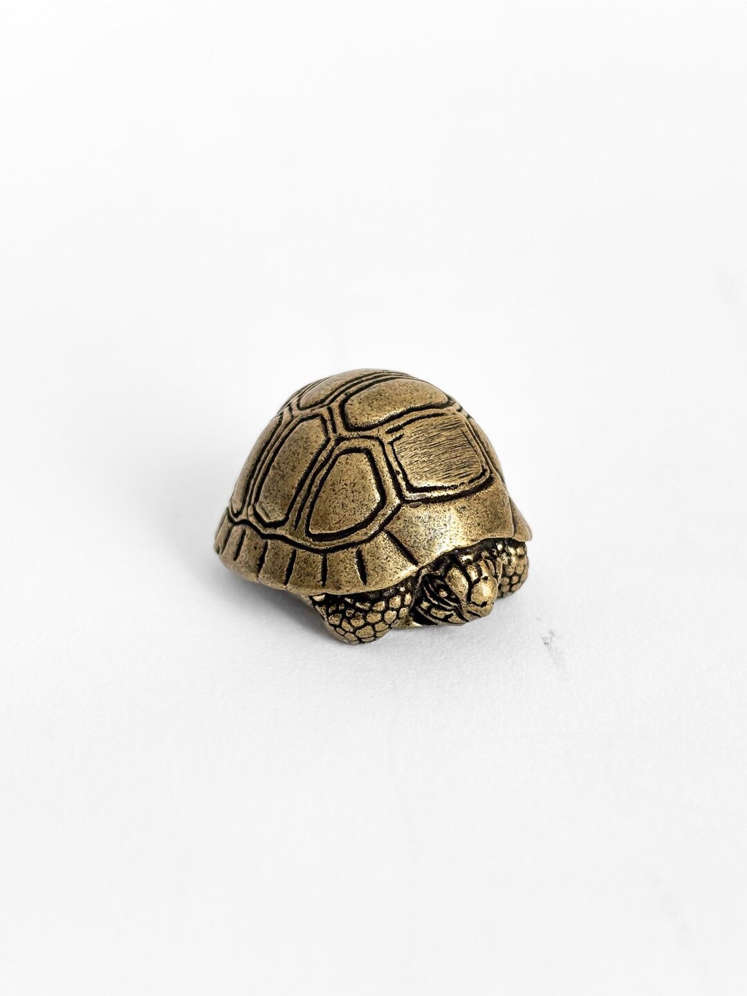 Brass Gold Tortoise Figurine – Symbol of Longevity, Feng Shui Decor ...