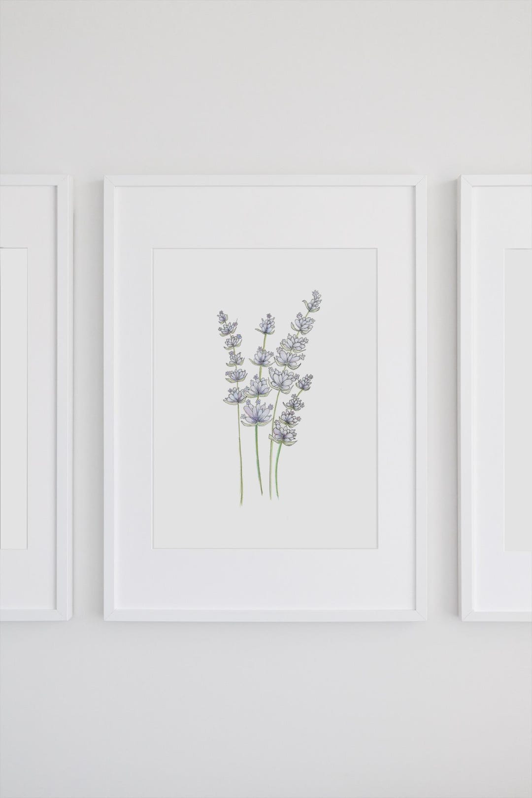 Lavender Art Print – Hand-drawn Botanical Illustration – Ink and ...
