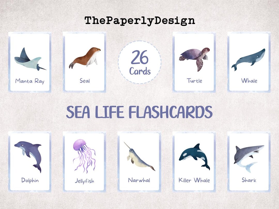 Sea Life Flashcards - Printable Learning Card - Etsy