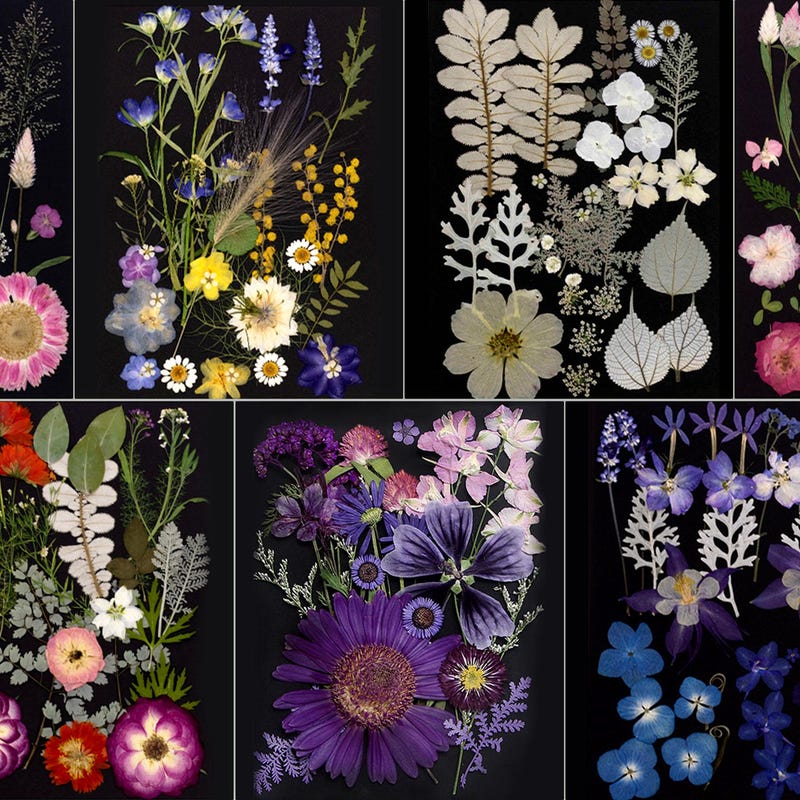 Dry Flowers Cottage Core - Etsy